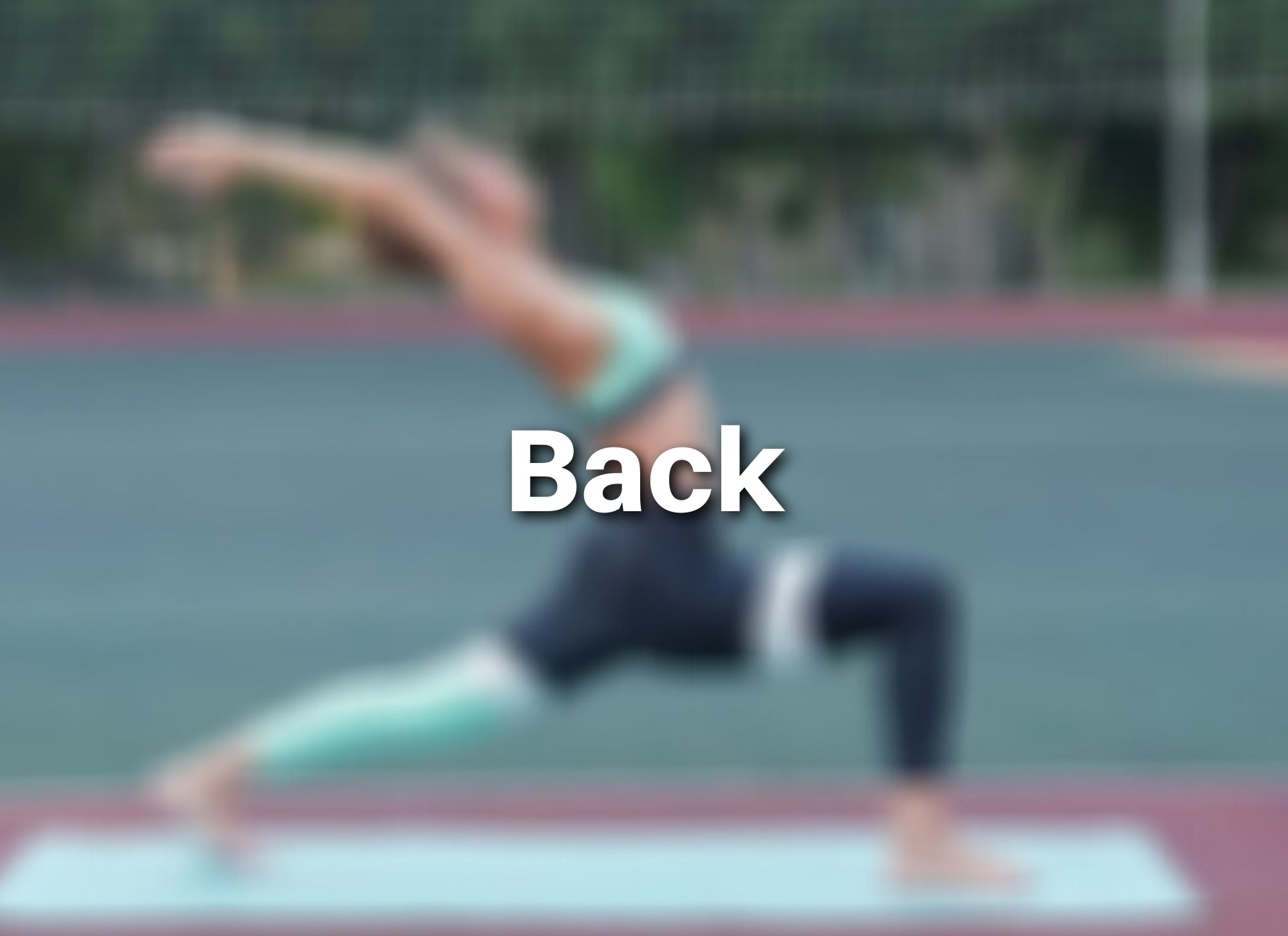 Portal | Exercises & Stretches | Ahava Chiropractic